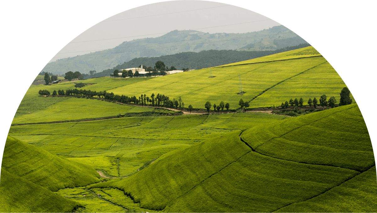 Expand into Rwanda - Atlas
